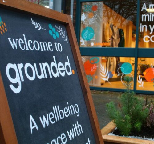 Livingwell – Livingwell Impact Report